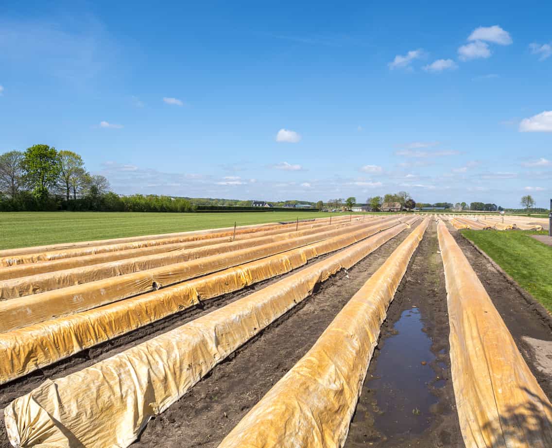 Onderzoek: Bioplastics vervuilen landbouwgrond – Kunststof Magazine